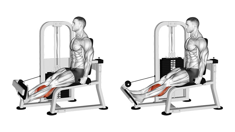Best Calf Exercise | atelier-yuwa.ciao.jp Best Calf Exercise | atelier-yuwa.ciao.jp