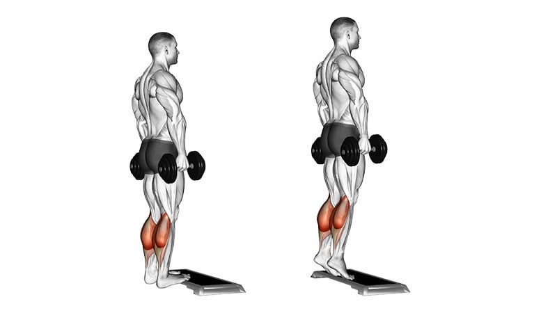 Calf Muscle Exercises Calf Muscle Exercises