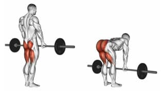Romanian Deadlift (RDL): How-To, Form, Muscles Worked & Benefits